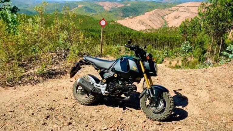 Honda Grom Off-Road?
