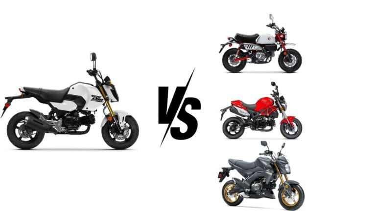 Honda Big Ruckus 250cc